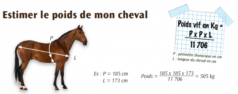 Estimer le poids de mon cheval - Destrier