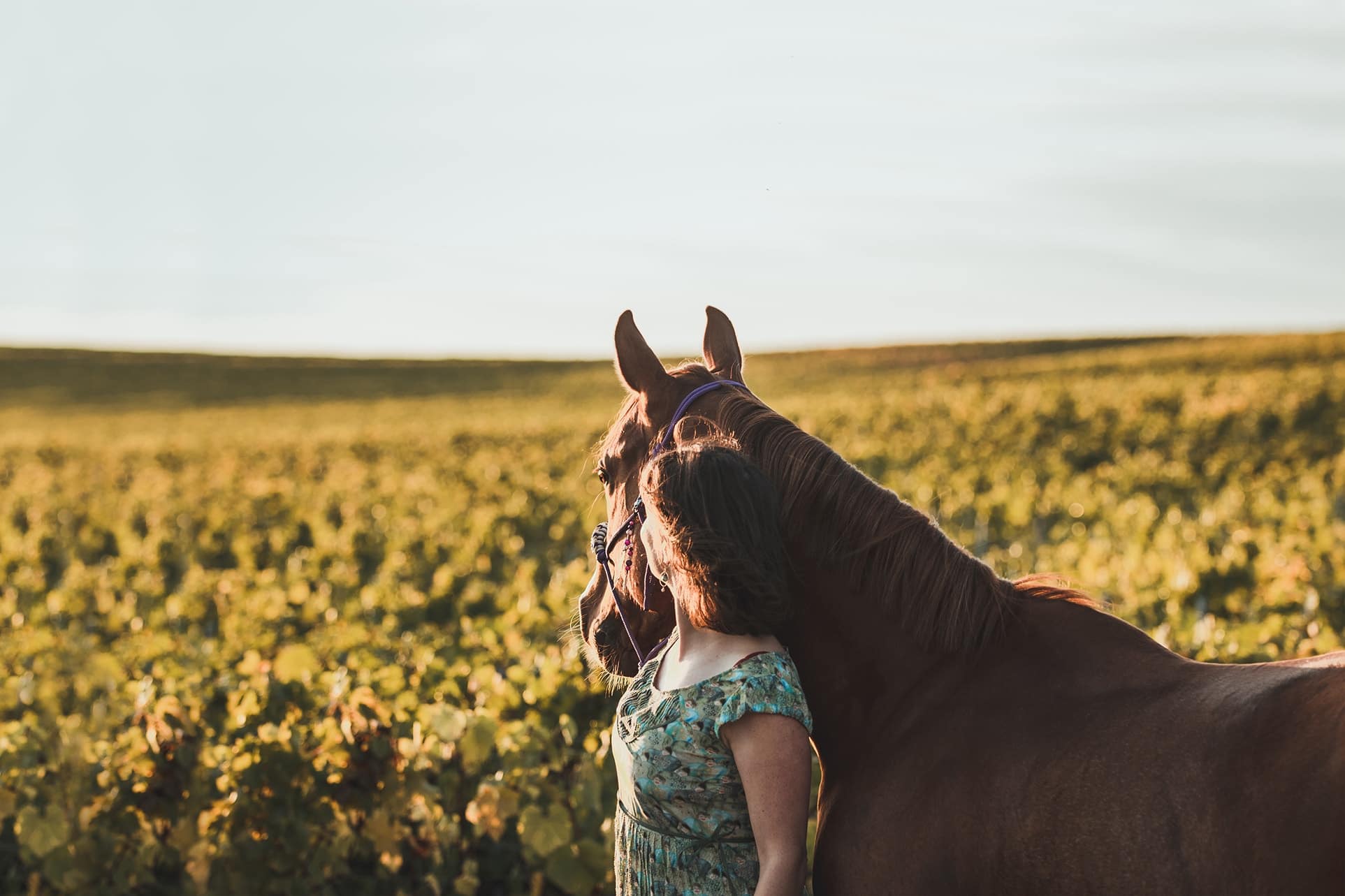 Notre histoire - Destrier