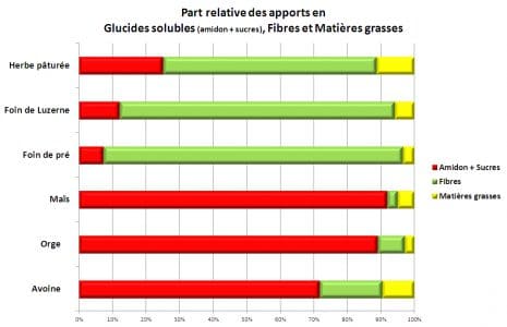 Les céréales, quels apports nutritionnels pour le cheval ? - Destrier