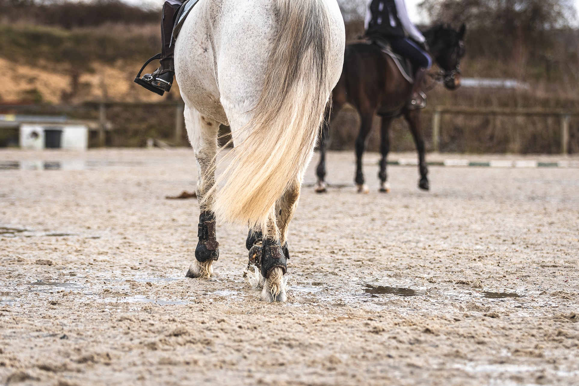 Nos savoir-faire | alimentation adaptée au besoin de votre cheval