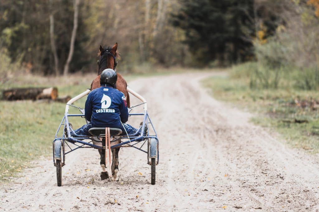 Composer la bonne ration pour mon cheval - Destrier